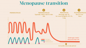My Menopause Centre | Understanding the Menopause