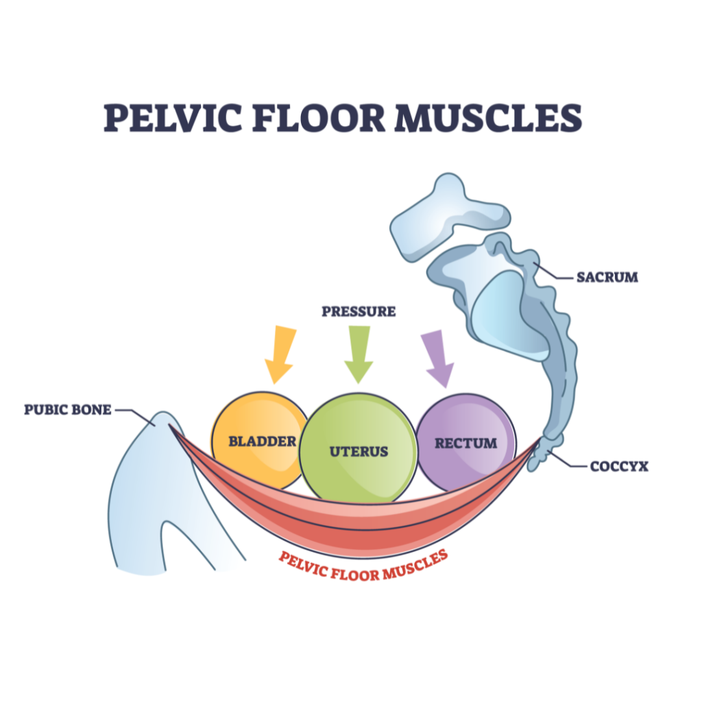 » How to strengthen your pelvic floor (and why you should)
